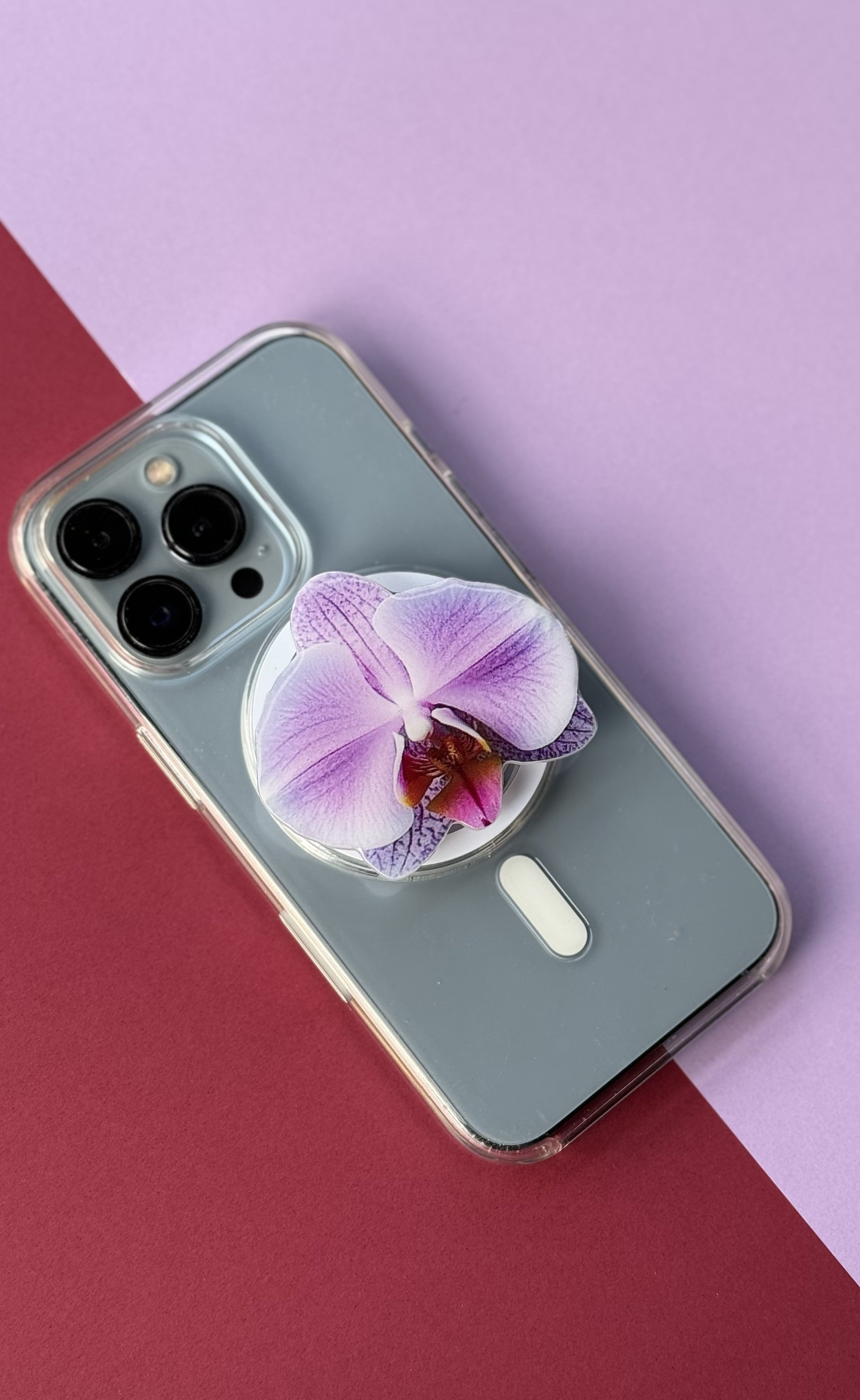 Raspberry Orchid – Petal Bloom